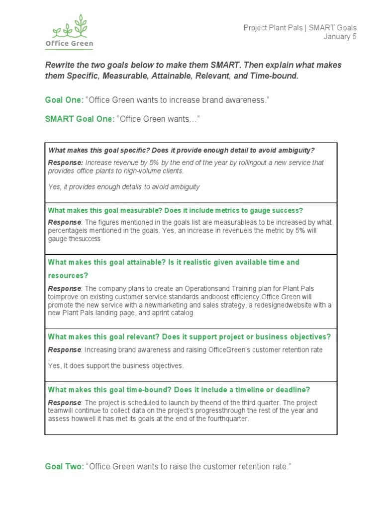 Activity Define and Determine SMART Project Goals | PDF | Goal | Public ...