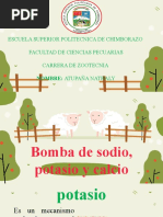 Función y Mecanismo de Bombas de Calcio | PDF | Calcio | Membrana celular