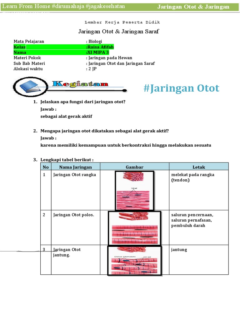 LKPD Jaringan Otot Dan Jaringan Saraf | PDF
