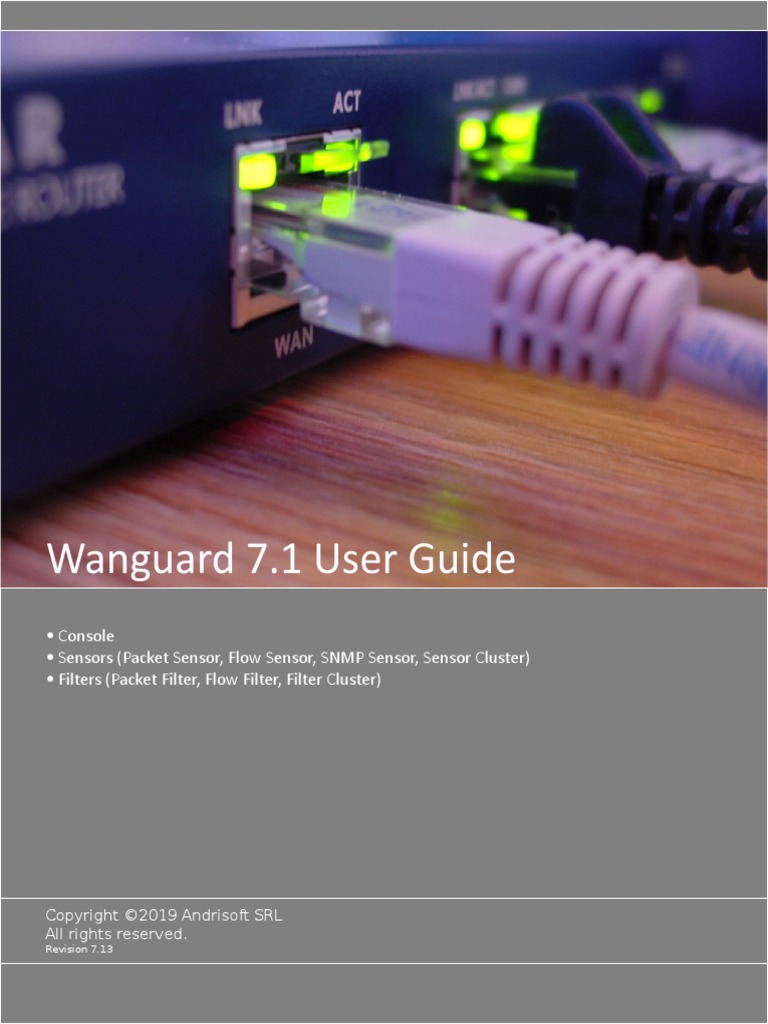 Wan Guard | PDF | Denial Of Service Attack | Computer Network