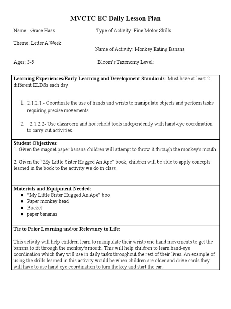 Fine Motor Skills Lesson Plan | PDF | Lesson Plan | Behavior Modification