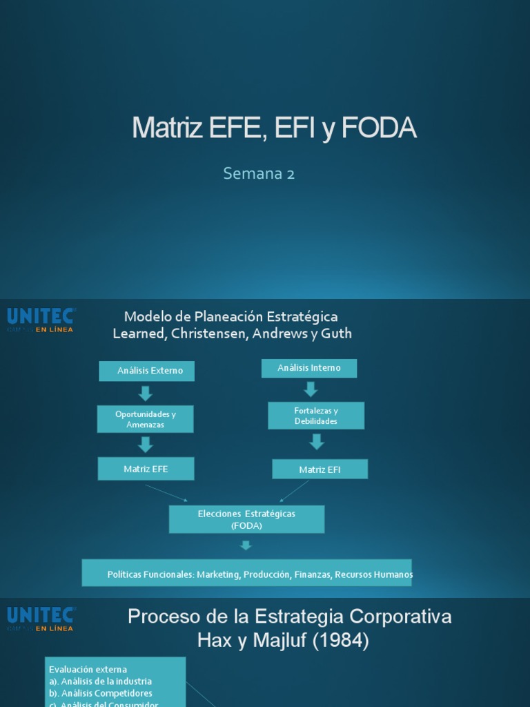 Matriz EFE, EFI y FODA | PDF | Análisis FODA | Marketing