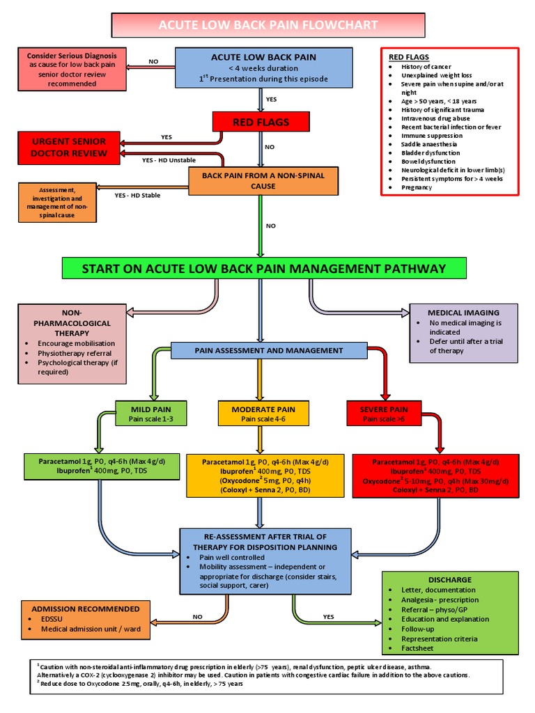 Acute Low Back Pain Management Flowchart | PDF | Back Pain | Low Back Pain