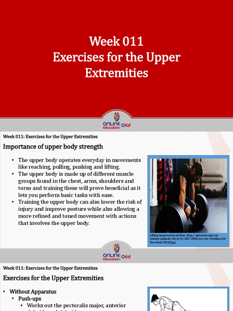 Upper Extremity Strengthening Exercises | PDF | Anatomical Terms Of ...
