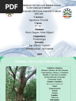 Características y usos del matapalo | PDF | Arboles | Hoja