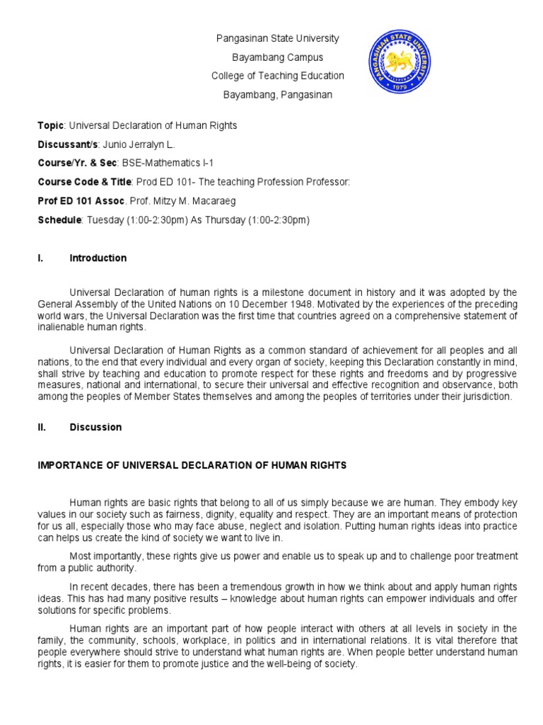 Written Report Universal Declaration of Human Rights | PDF | Human ...