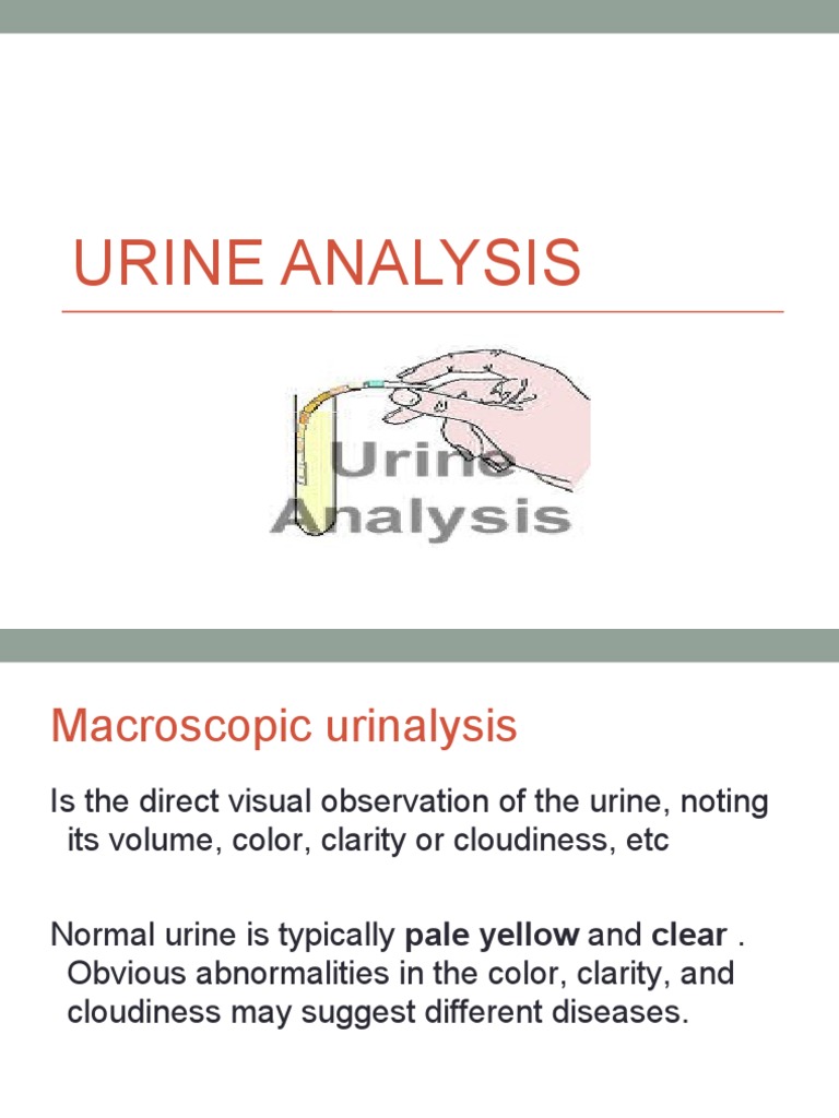 Macroscopic and Microscopic Urinalysis | PDF | Medical Specialties ...