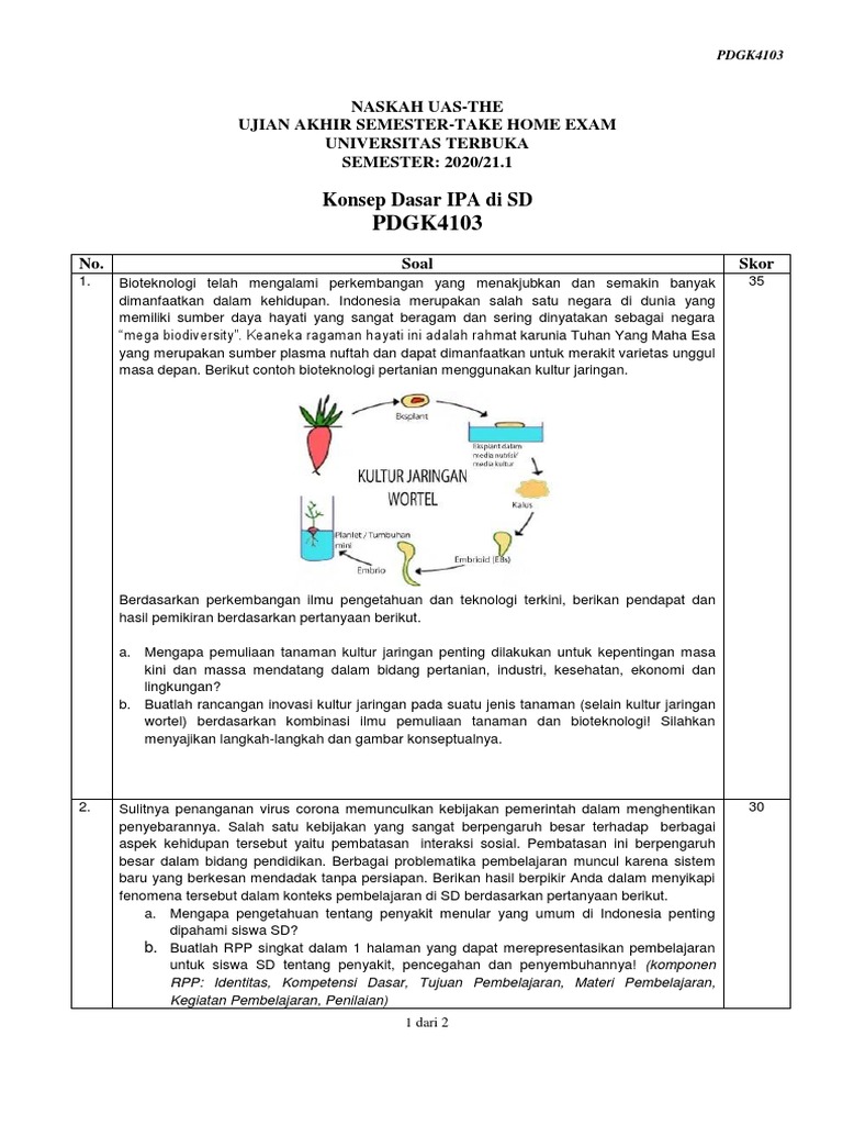 Naskah PDGK4103 The 1 | PDF | Sains & Matematika