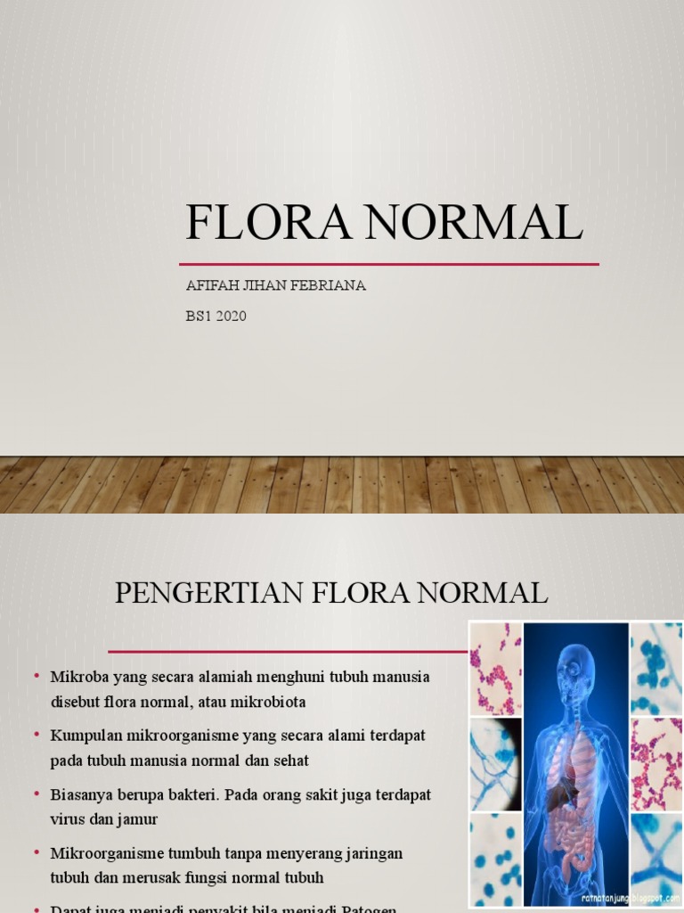 Flora-Normal ppt1 | PDF