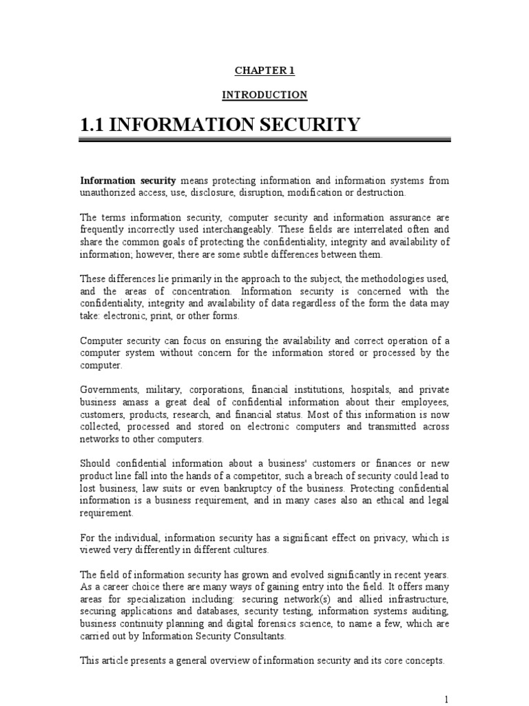 Information Security | PDF | Exploit (Computer Security) | Information Security