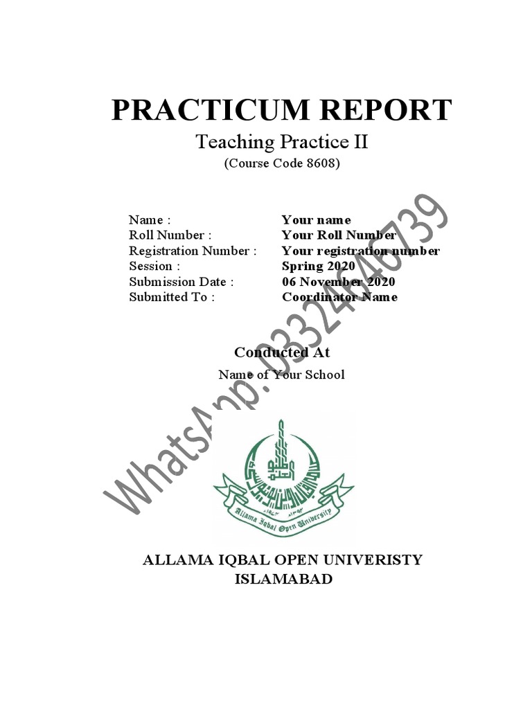 Teaching Practicum Report Example | PDF | Teachers | Schools