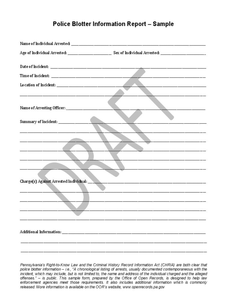 Police Blotter Sample Form DRAFT | PDF | Police | Criminal Record