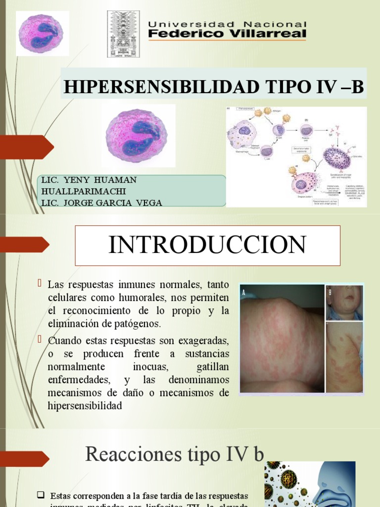 Hipersensibilidad Tipo IV - 4b | PDF | Citocina | Sistema inmune