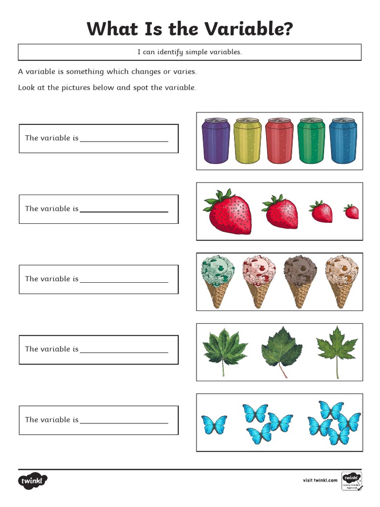 What Is The Variable?: A Variable Is Something Which Changes or Varies ...