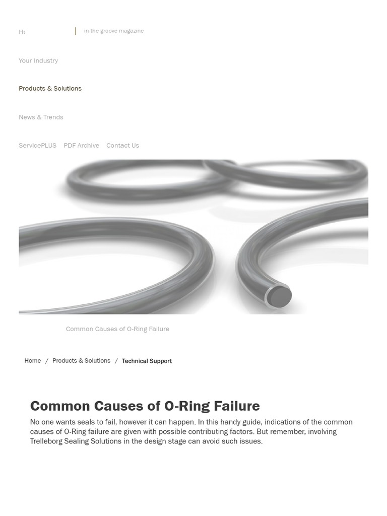 Common Causes of O-Ring Failure - Technical Support | PDF | Materials ...