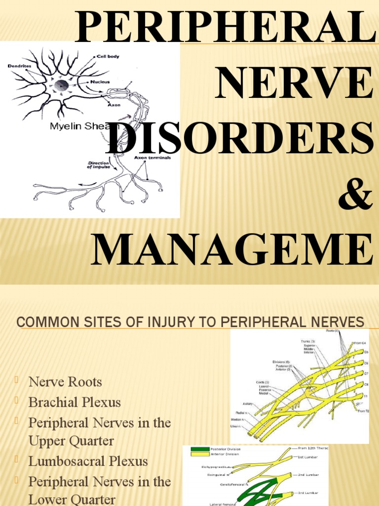 Peripheral Nerve Disorders & Management | PDF | Carpal Tunnel Syndrome ...