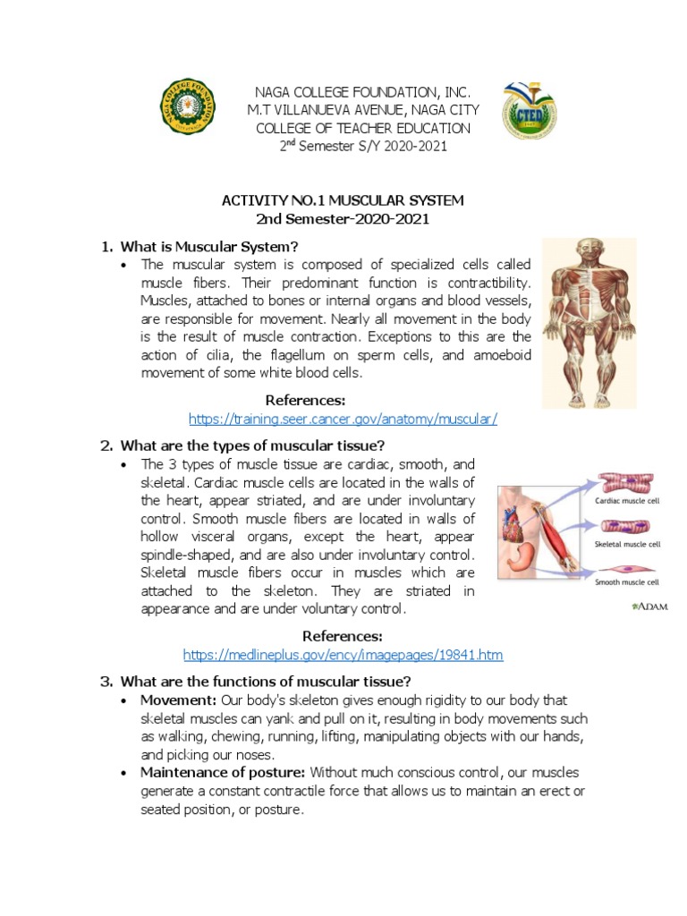 Leslie C. Quinones | PDF | Muscle | Skeletal Muscle