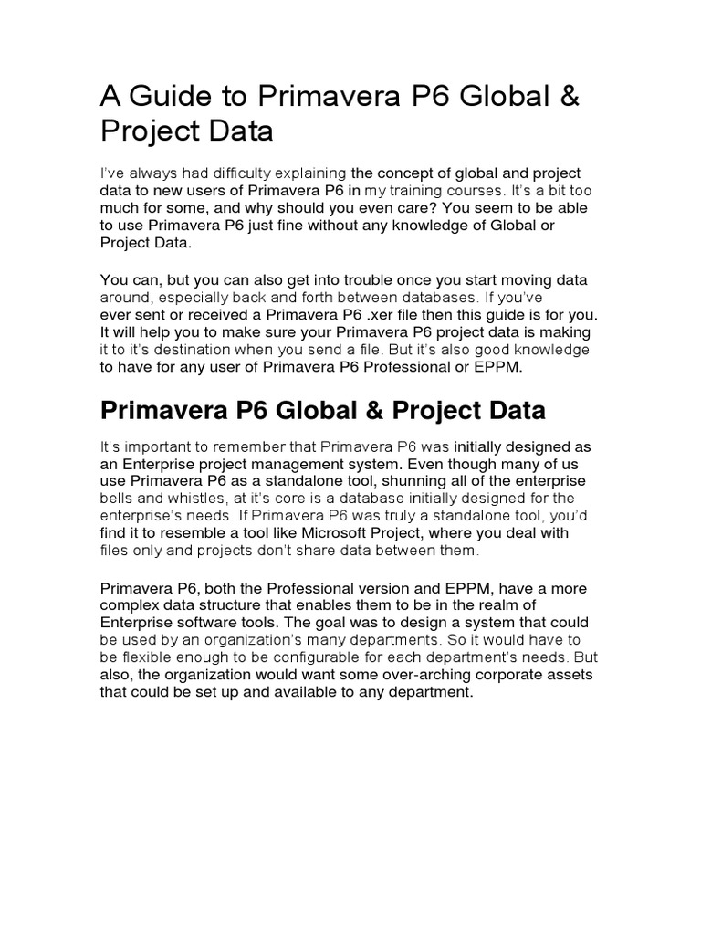 A Guide To Primavera P6 Global & Project Data | PDF | Page Layout