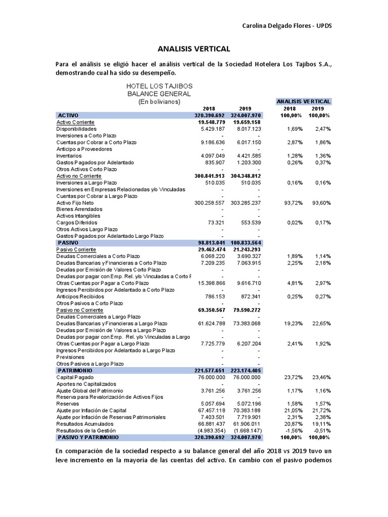 Analisis Vertical y Horizontal | PDF | Hoja de balance | Economias