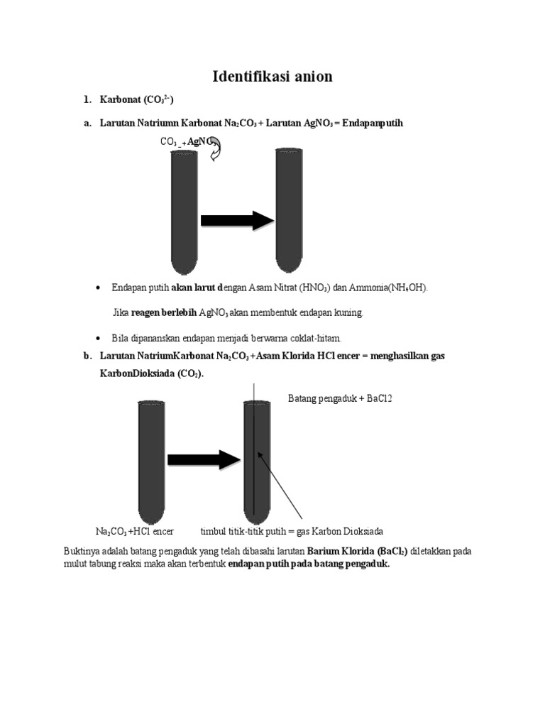 Gambar Praktek Analisis Anion | PDF