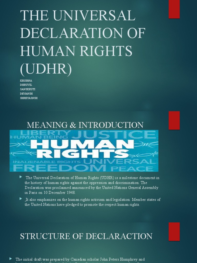 Universal Declaration of Human Rights | PDF | Human Rights | Egalitarianism