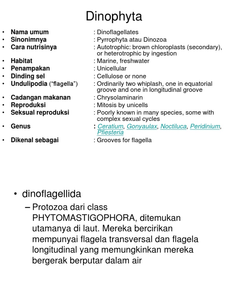 Dinophyta | PDF