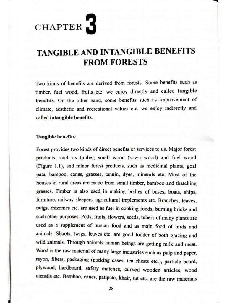 Tangible and Intangible Benefits From Forest | PDF
