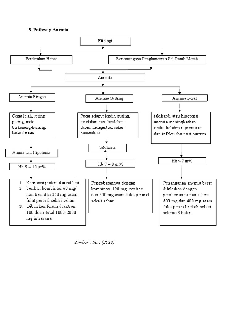 Pathway Anemia | PDF