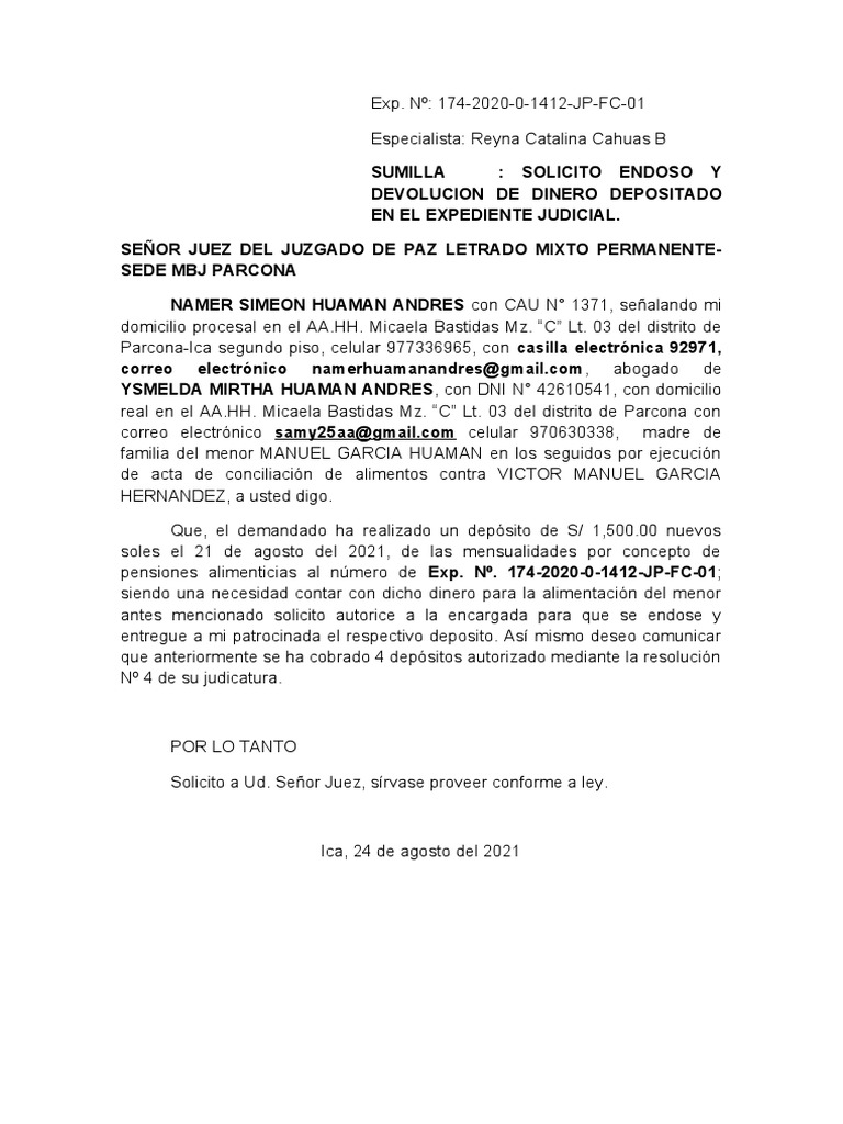 Solicitud de Depositos Judiciales | PDF