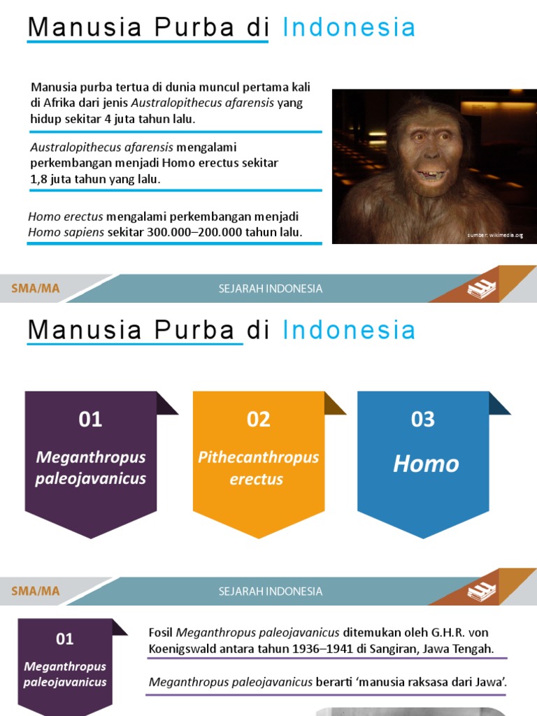 Manusia Purba Di Indonesia | PDF