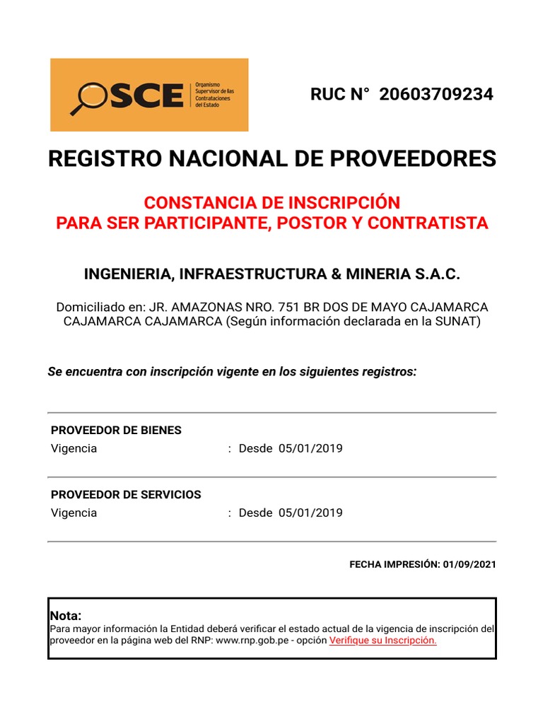 Constancia Del RNP | PDF