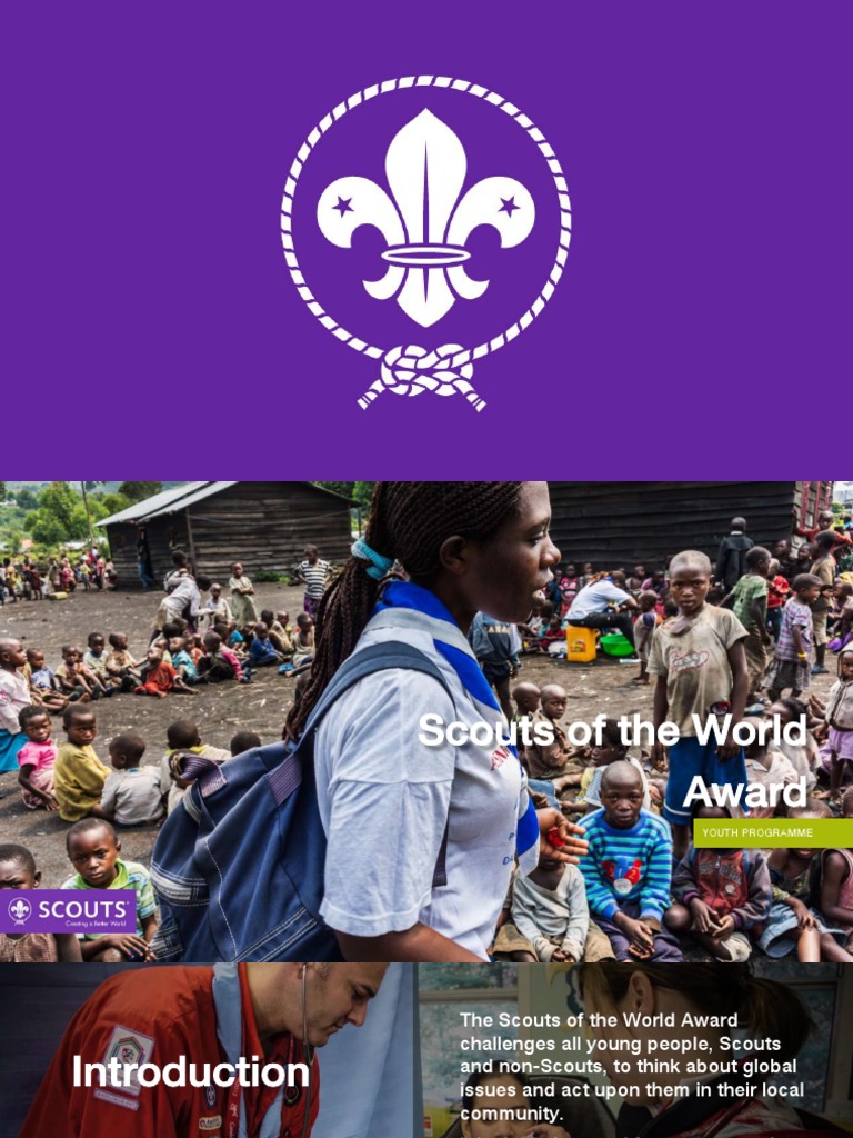 Scouts of the World Award Overview | PDF | Millennium Development Goals ...
