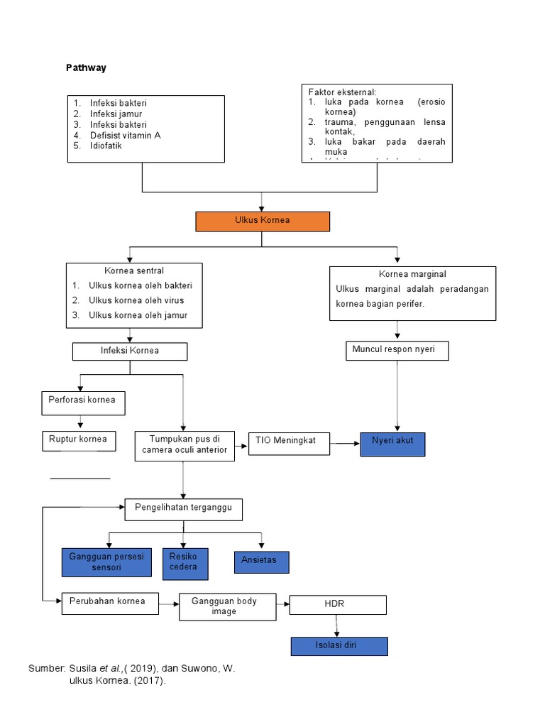 Pathway Ulkus Kornea | PDF