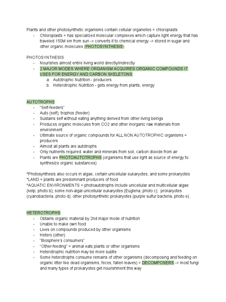 Photosynthetic Processes Lecture Guide | PDF | Photosynthesis | Chlorophyll