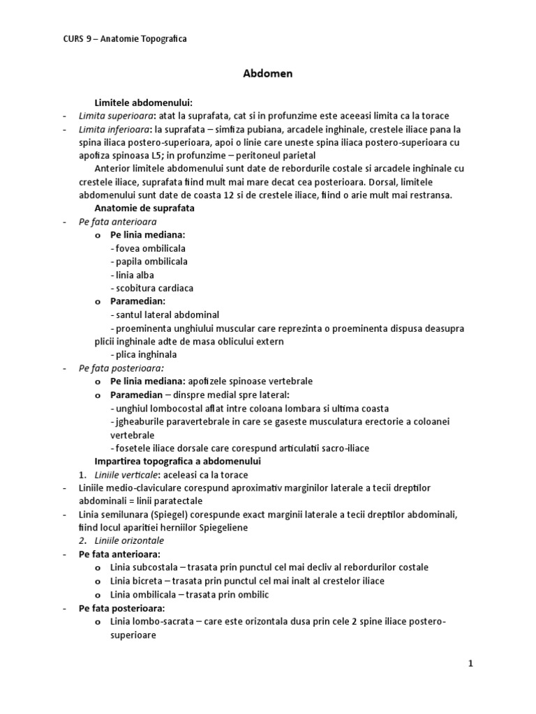 Curs 9 Anatomie Topografica | PDF