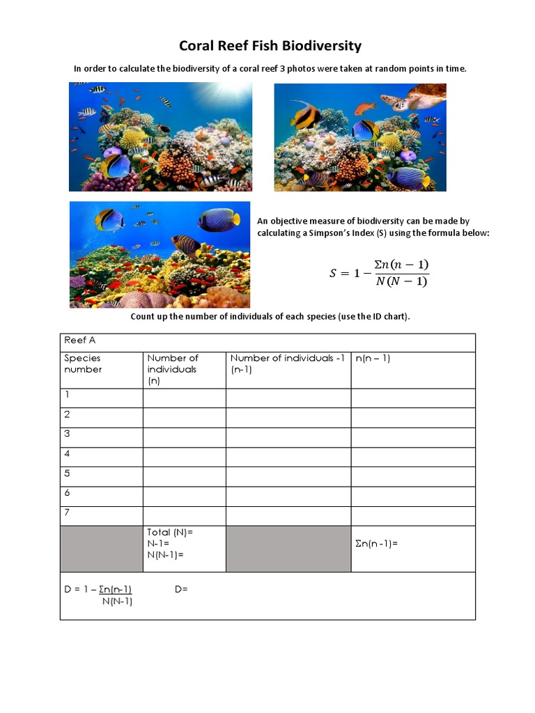 Working Sheet For Coral Reef Biodiversity - Simpsons Index | PDF