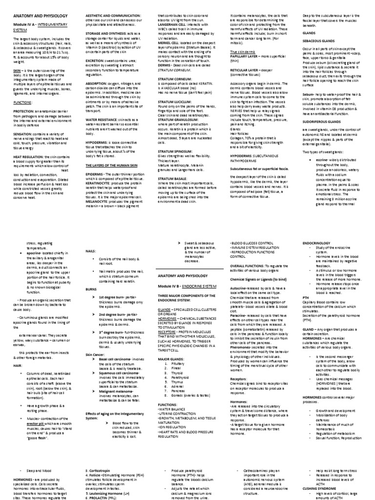 Anatomy and Physiology-Notes | PDF | Skin | Central Nervous System
