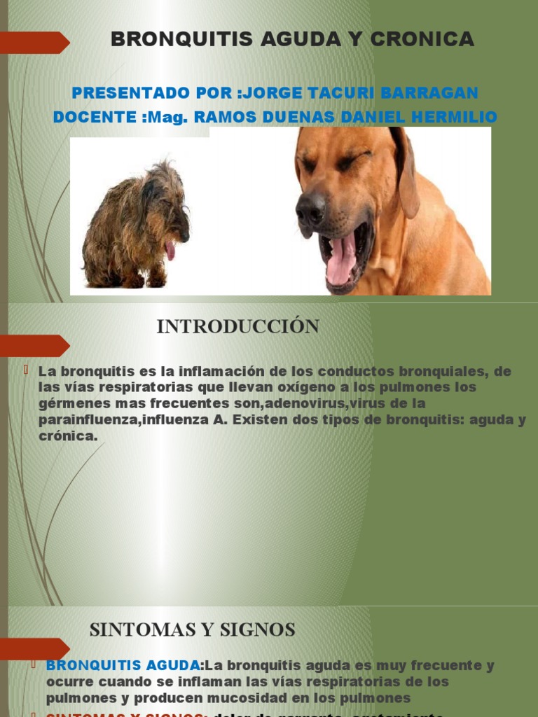 Bronquitis Aguda y Cronica | PDF