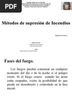 13 Directrices de Cero Tolerencia | PDF | México