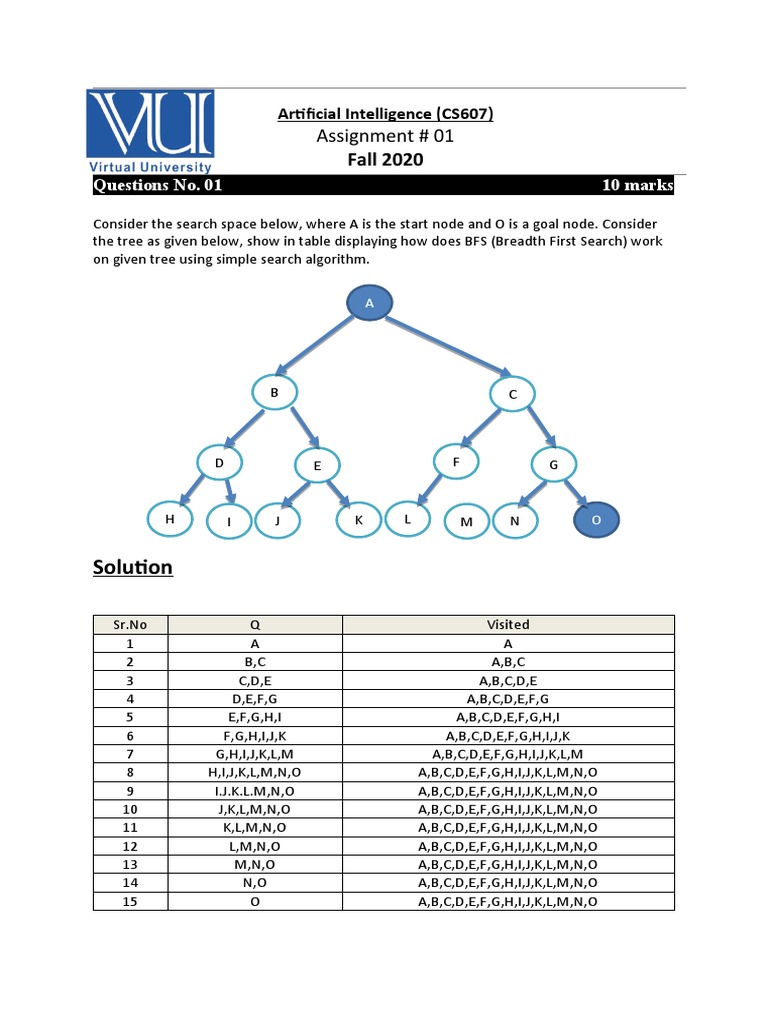 CS607 Assignment 1 Solutions 2020 | PDF