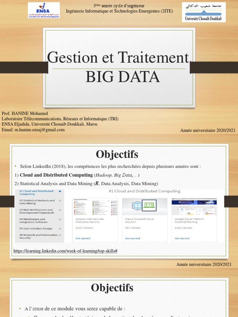 Chapitre 1 - Big Data | PDF | Big data | Apache Hadoop