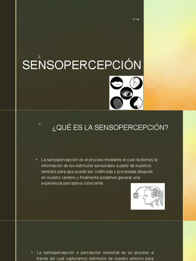 Qué Es La Sensopercepción | Descargar gratis PDF | Percepción | Estímulo (fisiología)
