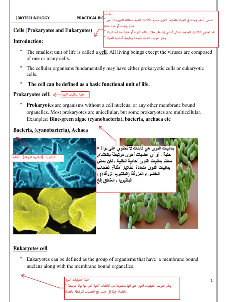 Biotechnology Practical Biology Lab-2 | PDF | Cell (Biology ...