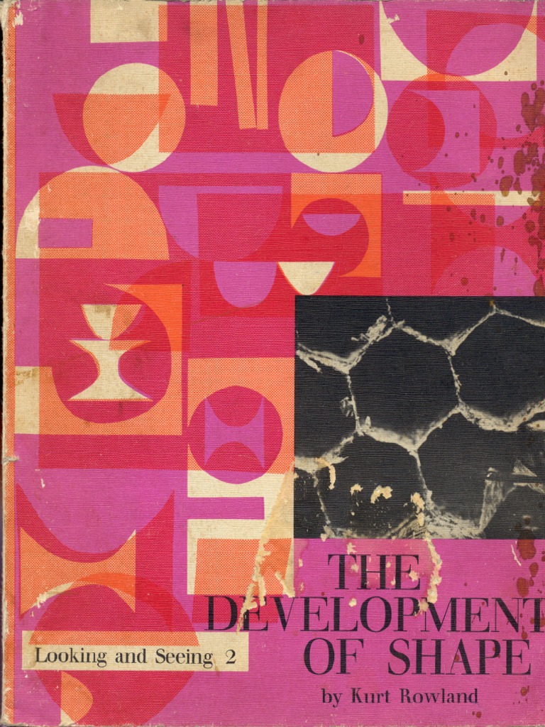 Look & See 2 | PDF