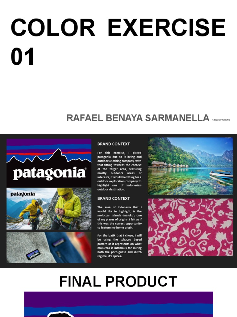 COLOR EXERCISE 01 Rafael Benaya | PDF