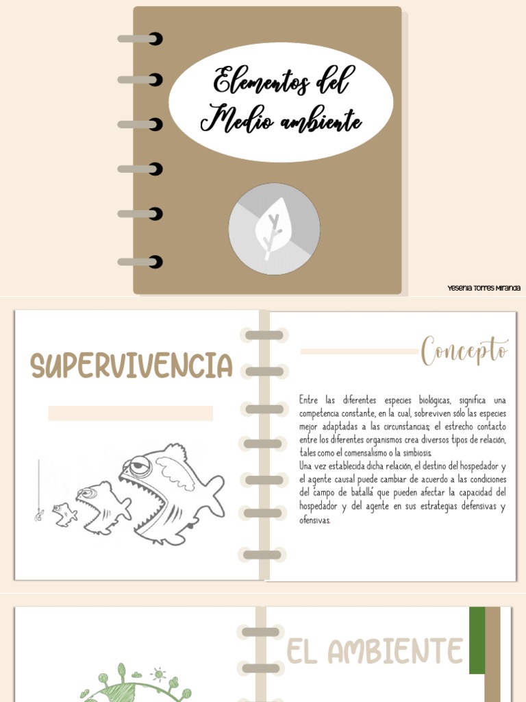 Elementos Del Medio Ambiente | PDF