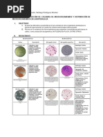 Lugol | PDF | Carbohidratos | Cromatografía