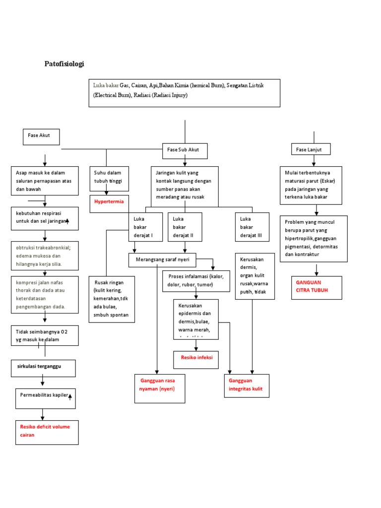 Patofisiologi Luka Bakar | PDF