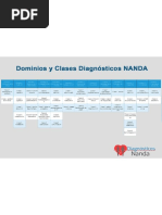Formato Plan de Cuidados Nanda, Nic y Noc | PDF