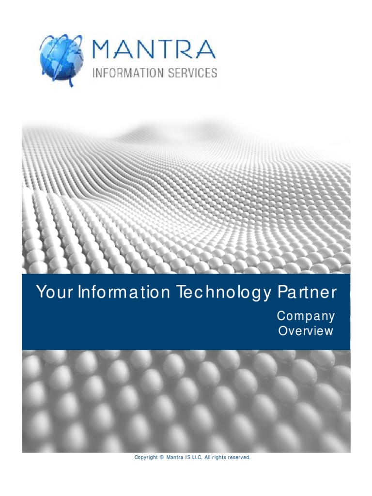 Mis Company Overview | PDF | Web Application | Software Testing